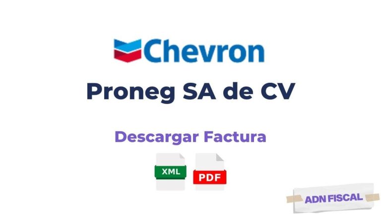 Facturación Proneg - Generar Factura
